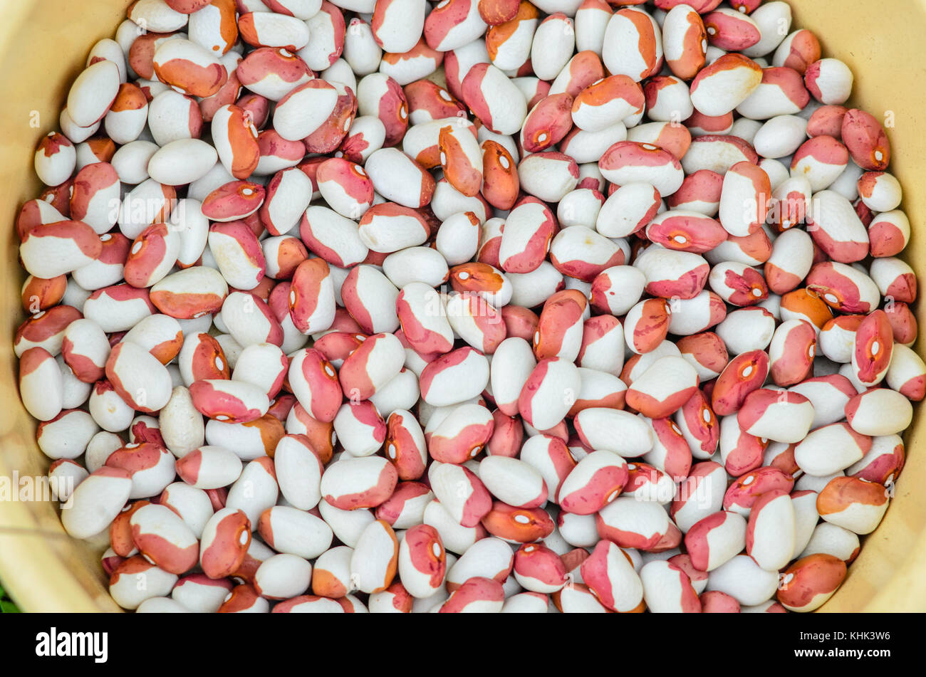 Two-color raw beans in a bucket. Two-tone beans , concept food Stock ...