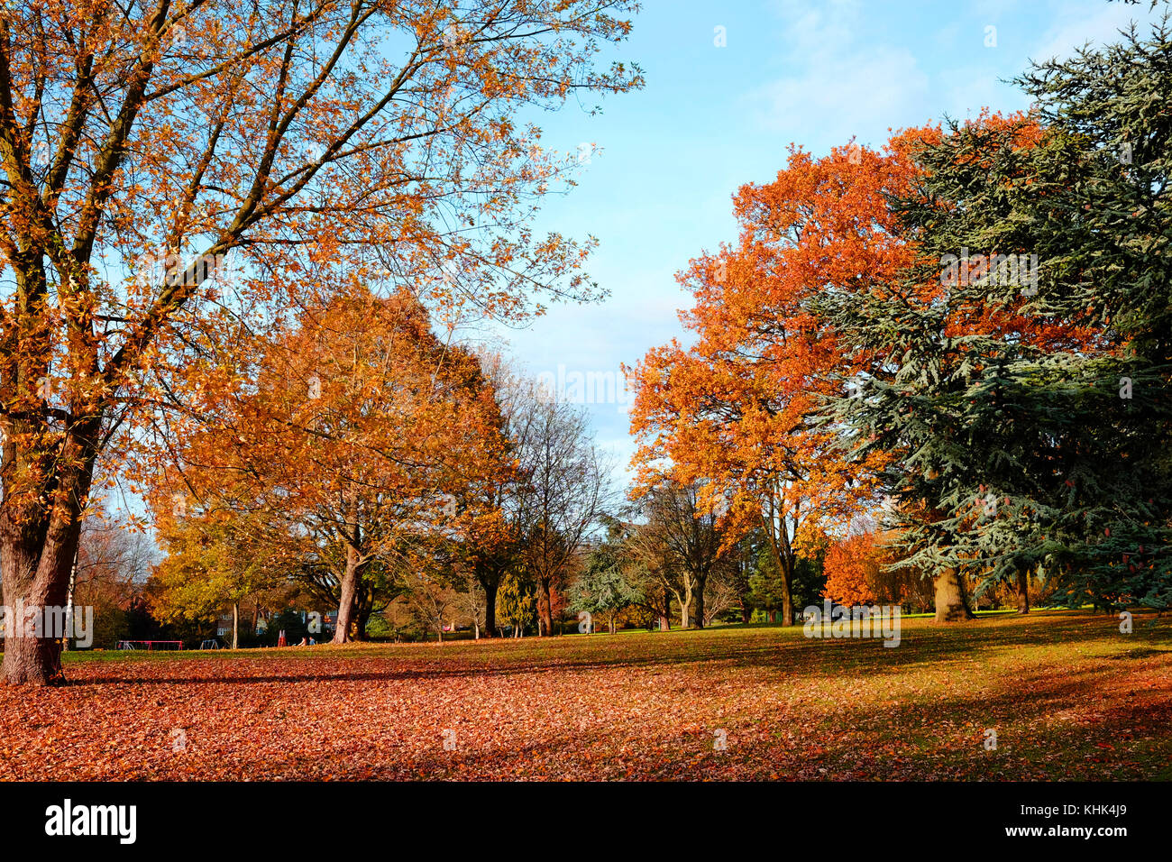 A cold Autumn season scene with falling brown leaves in a park in ...