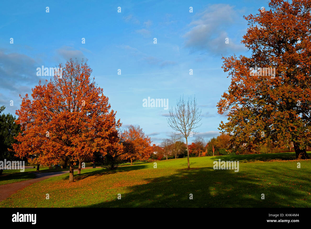 A cold Autumn season scene with falling brown leaves in a park in ...