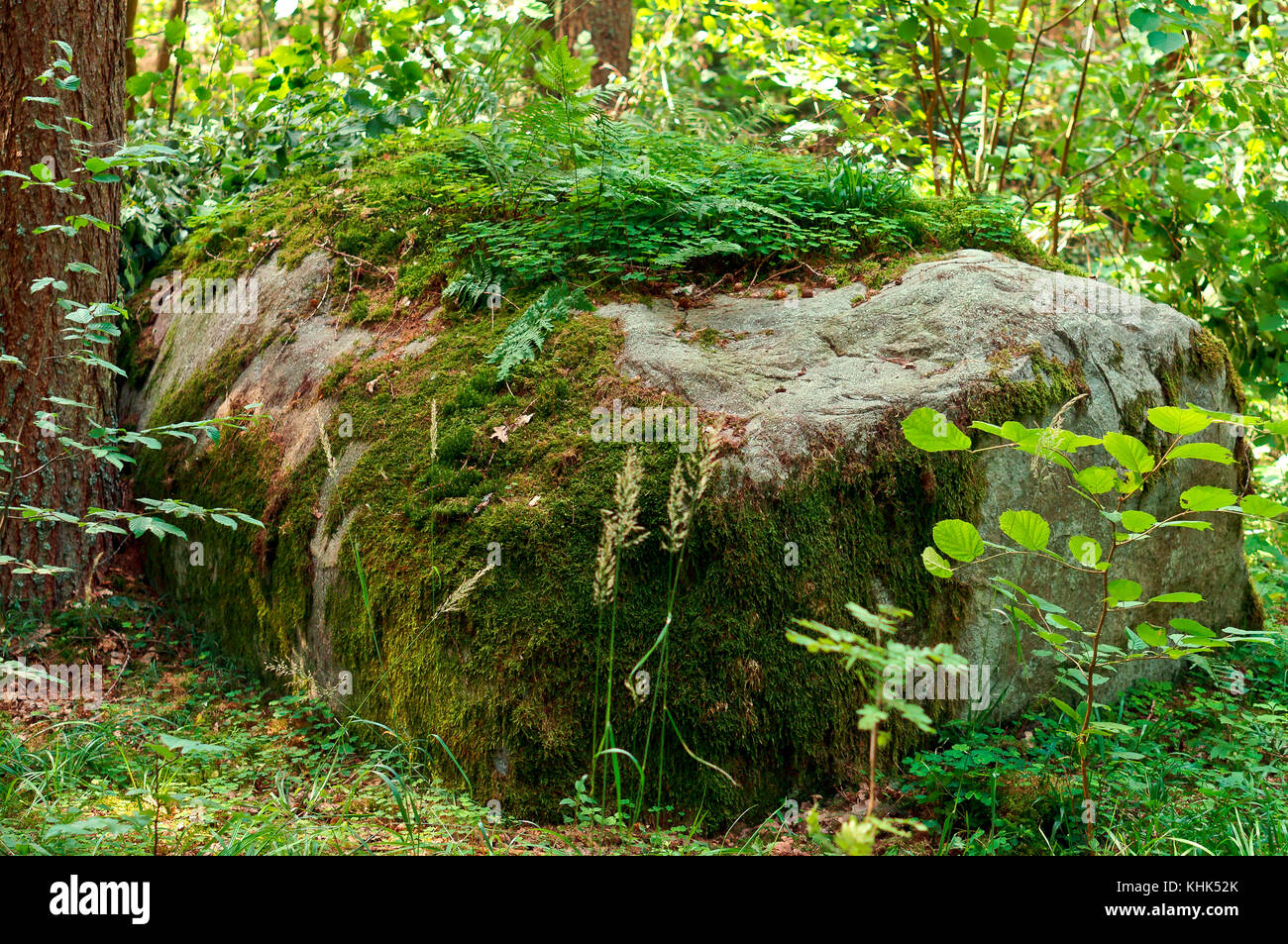 Huge giant boulder hi-res stock photography and images - Alamy