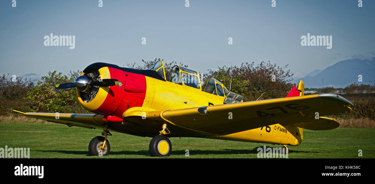 T-6 Texan trainer Stock Photo - Alamy
