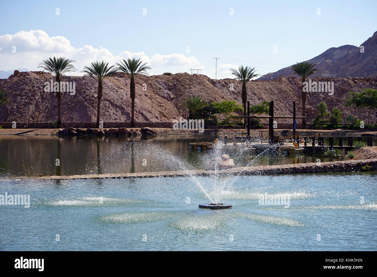 Fountain in Timna oasis in Negev desert, Israel Stock Photo - Alamy
