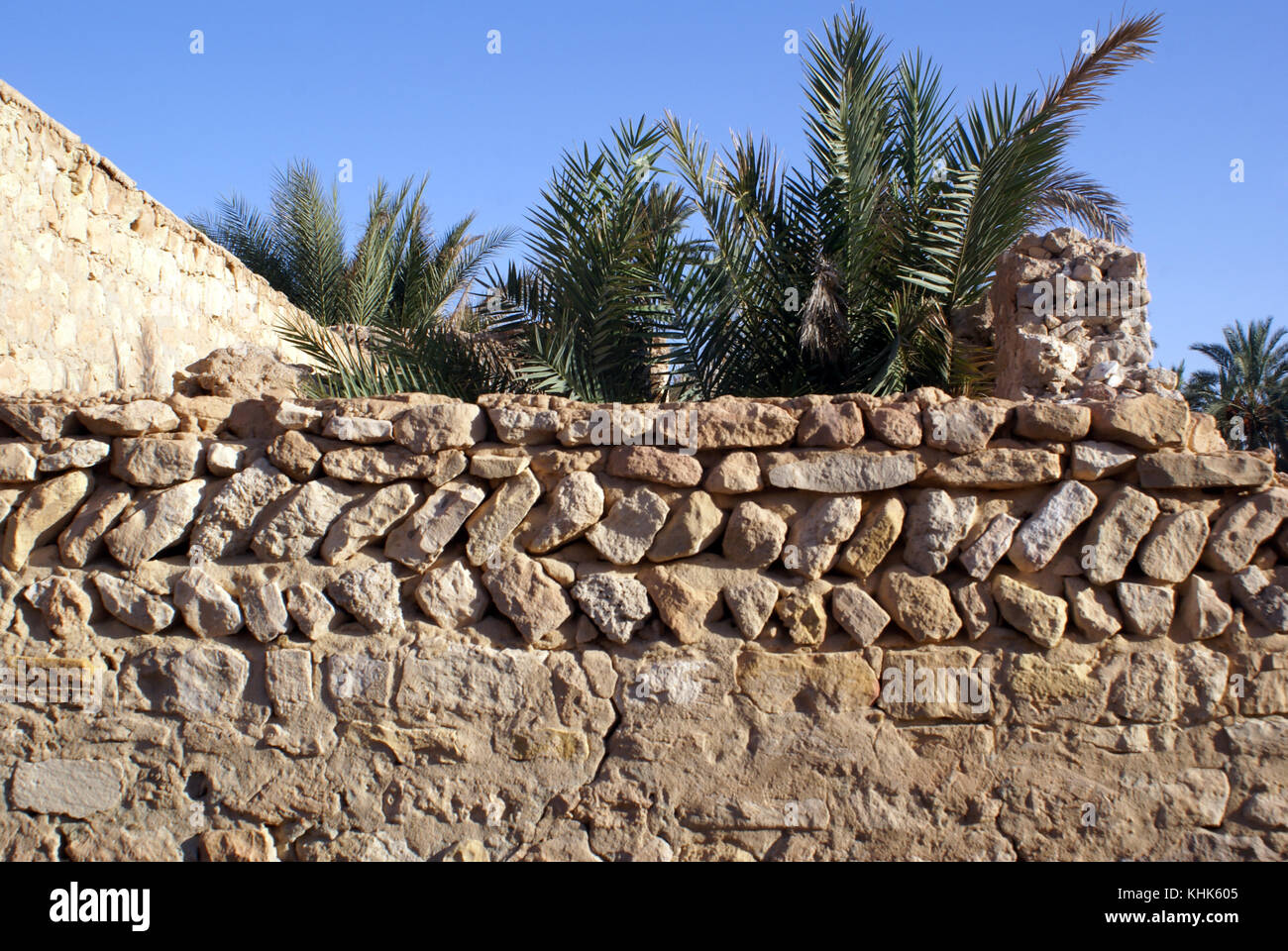 Kebili oasis hi-res stock photography and images - Alamy