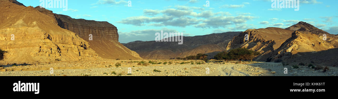 Wide wadi in Negev desert in Israel Stock Photo - Alamy