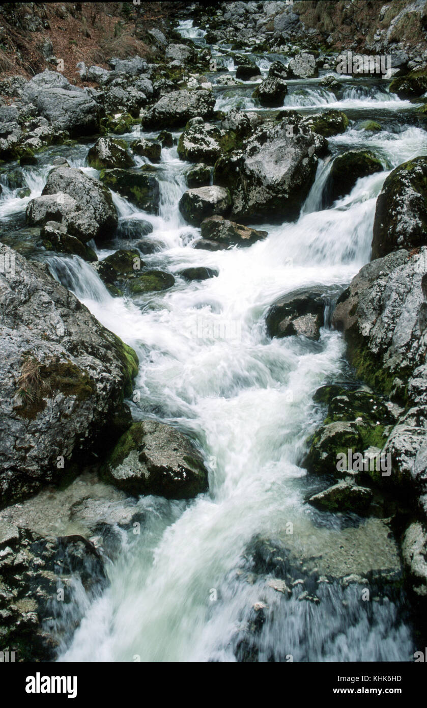 Slowenien, Bohinjska Bistrica, Oberlauf vom Fluss Savica im Triglav ...