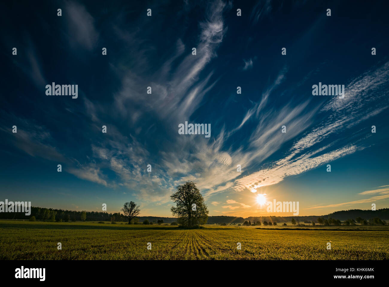 Morning sunrise and a beautiful landscape with fresh grass and trees ...