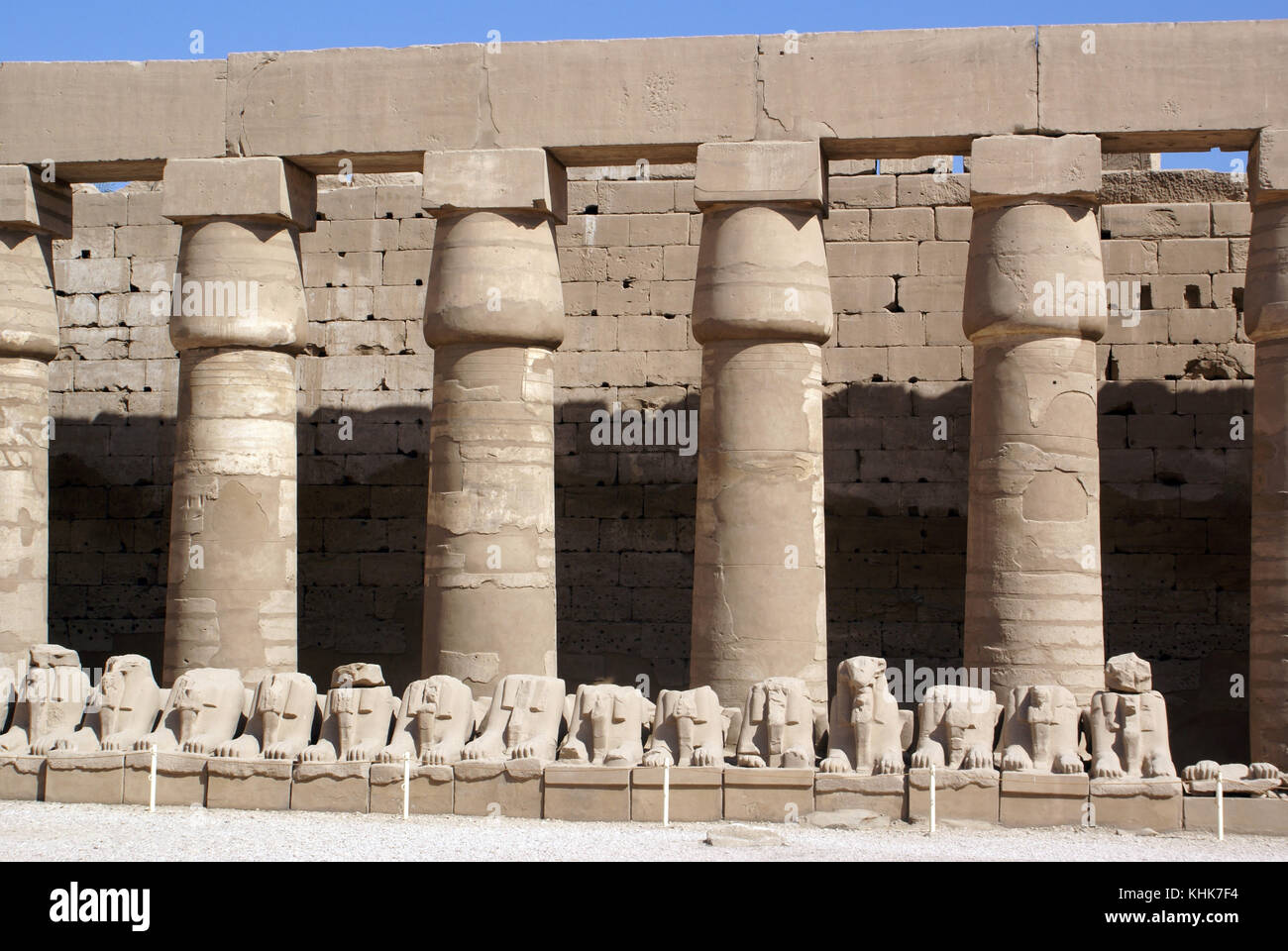 Wall, columns and sheep in Karnak temple in Luxor, Egypt Stock Photo ...