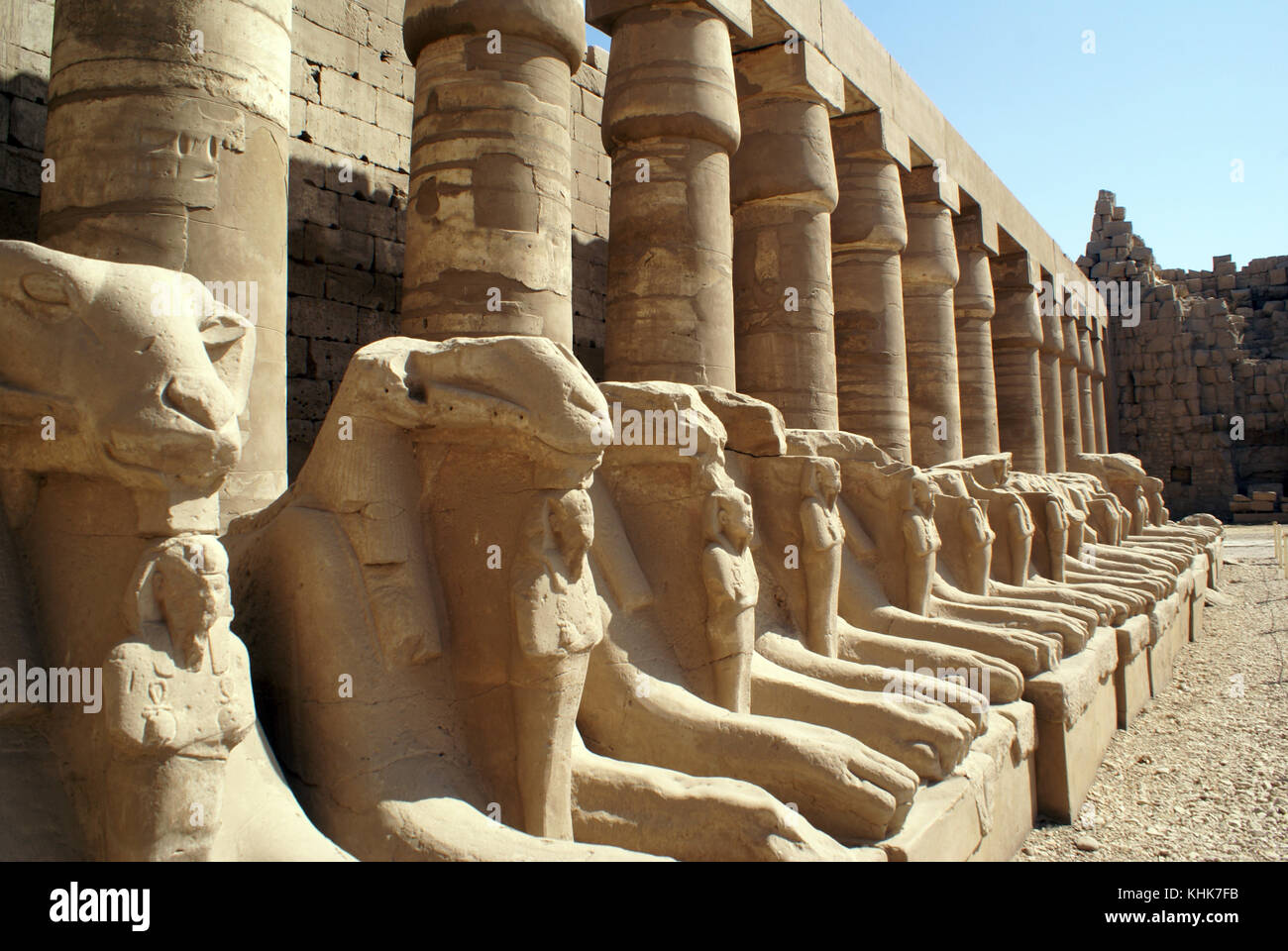 Long lene of sheep in Karnak temple in Luxor, Egypt Stock Photo - Alamy