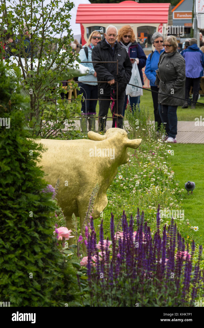 Life sized life size model of gold golden cow hi-res stock photography ...