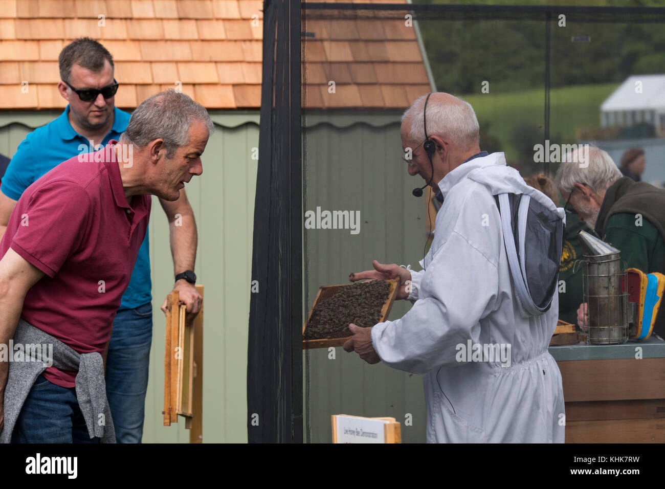 BBKA man giving live beekeeping demo talks & shows brood frame of bees ...