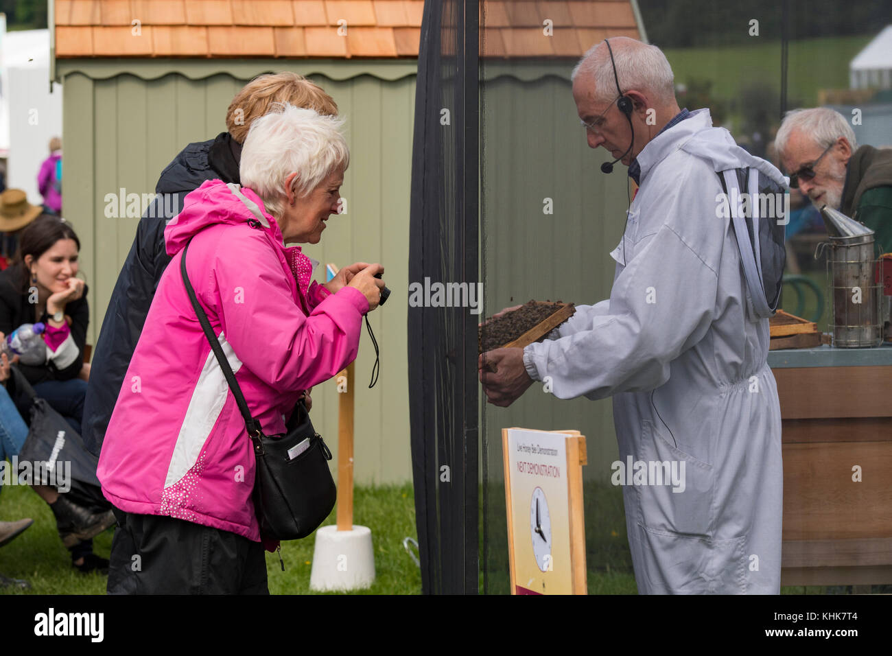 BBKA man giving live beekeeping demo talks & shows brood frame of bees ...