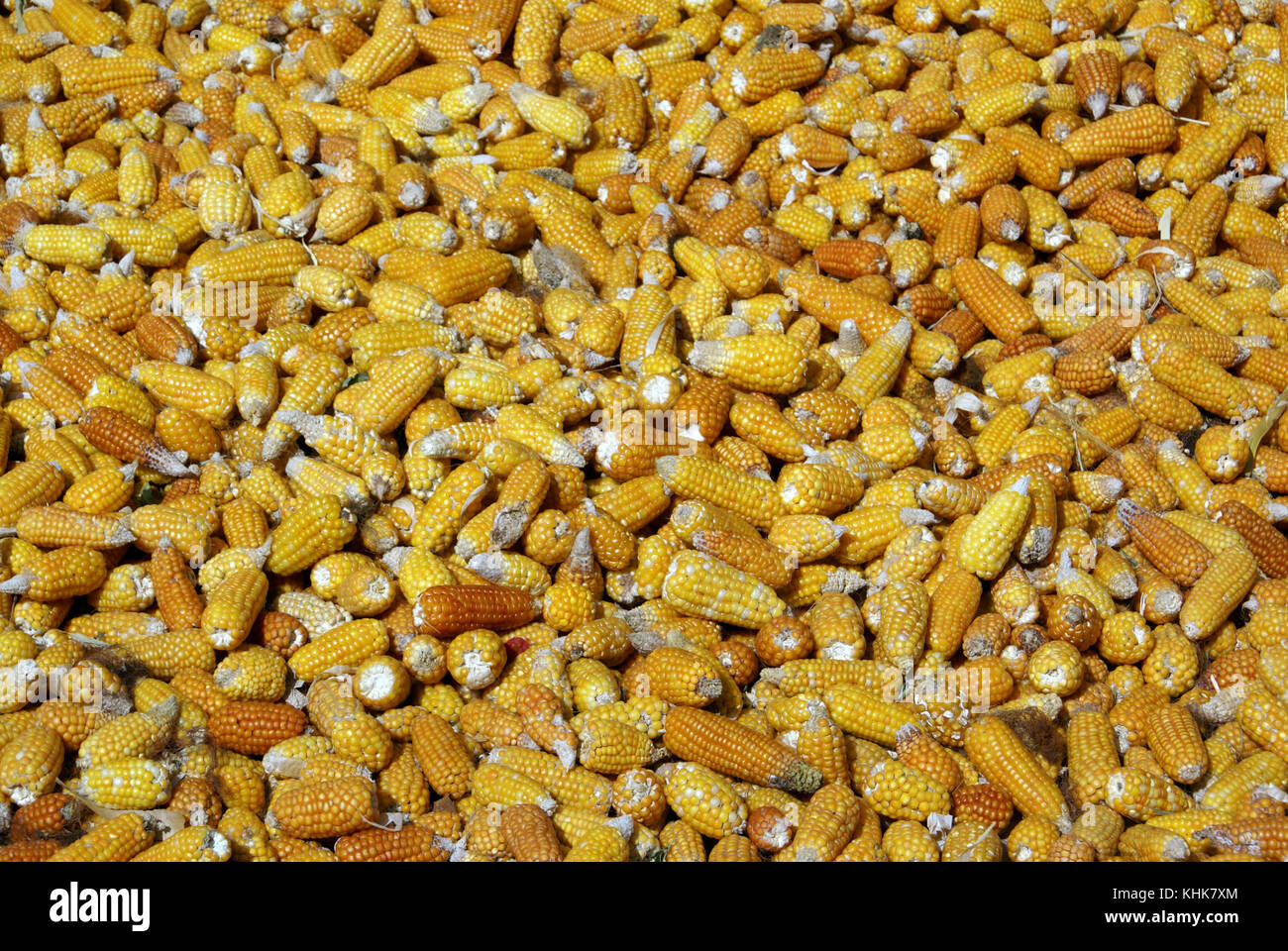 Morocco orange farm hi-res stock photography and images - Alamy