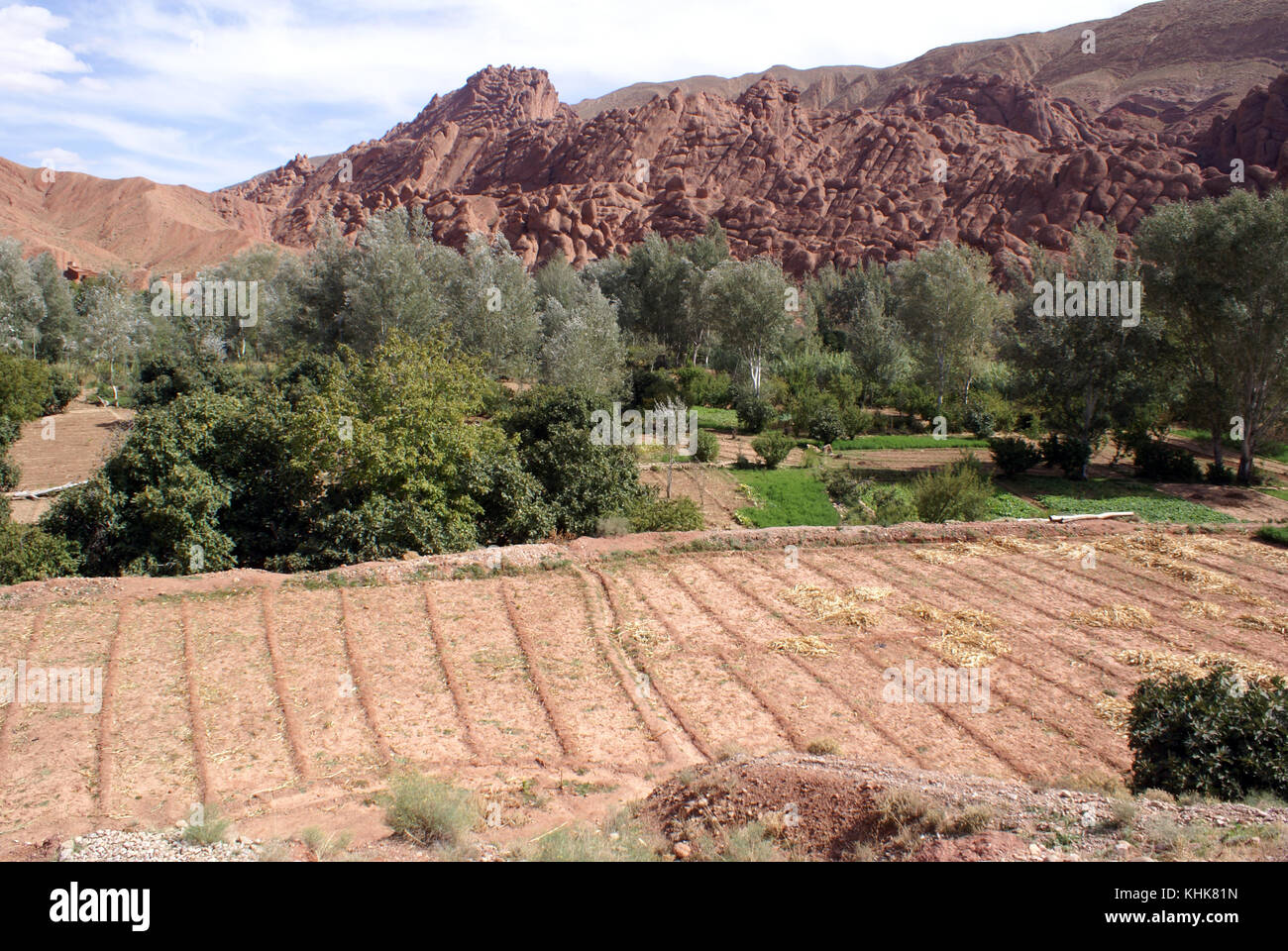 Bulman hi-res stock photography and images - Alamy