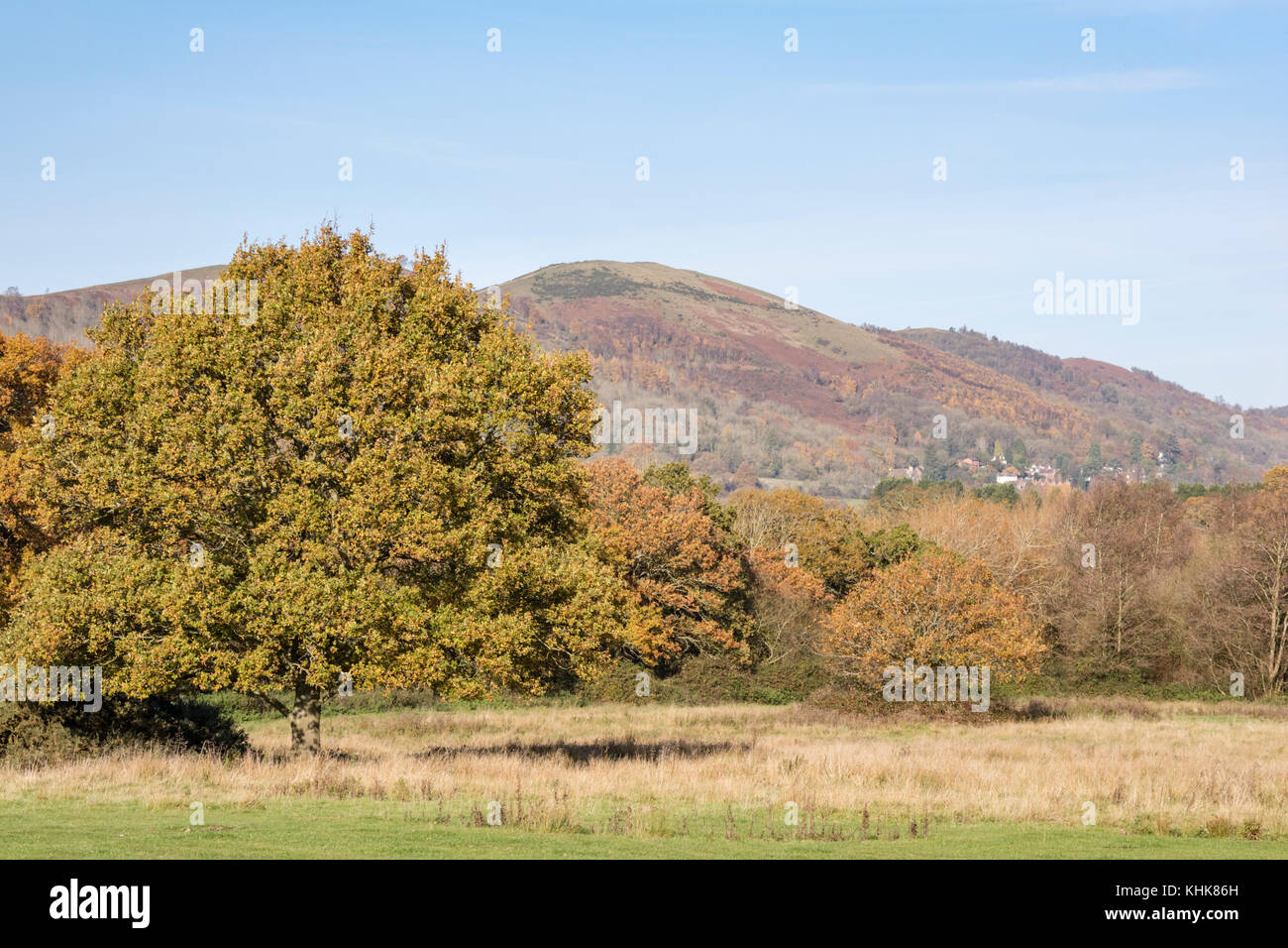 Autumn over the Malvern Hills looking north from Castlemorton Common ...