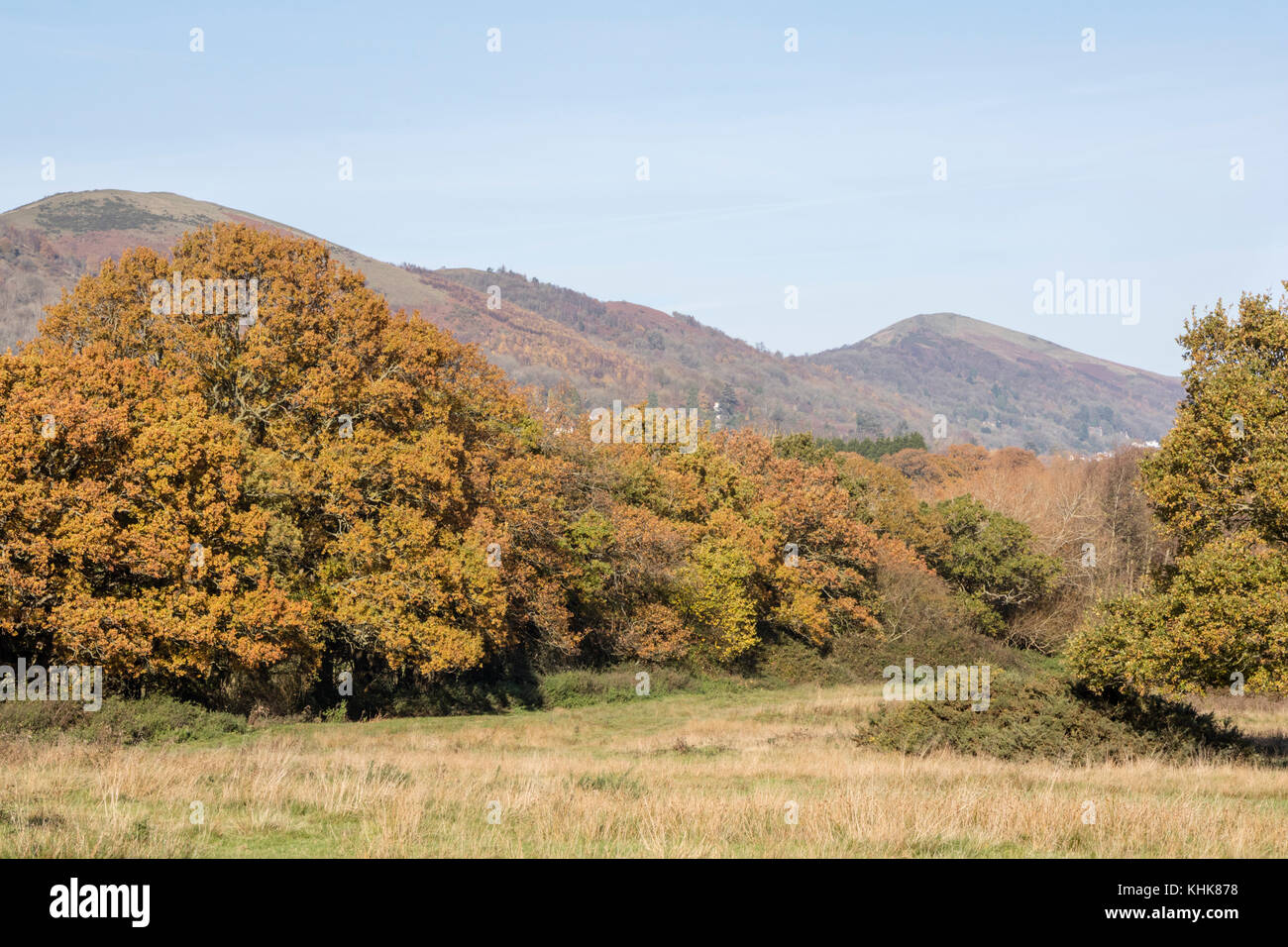 Autumn over the Malvern Hills looking north from Castlemorton Common ...