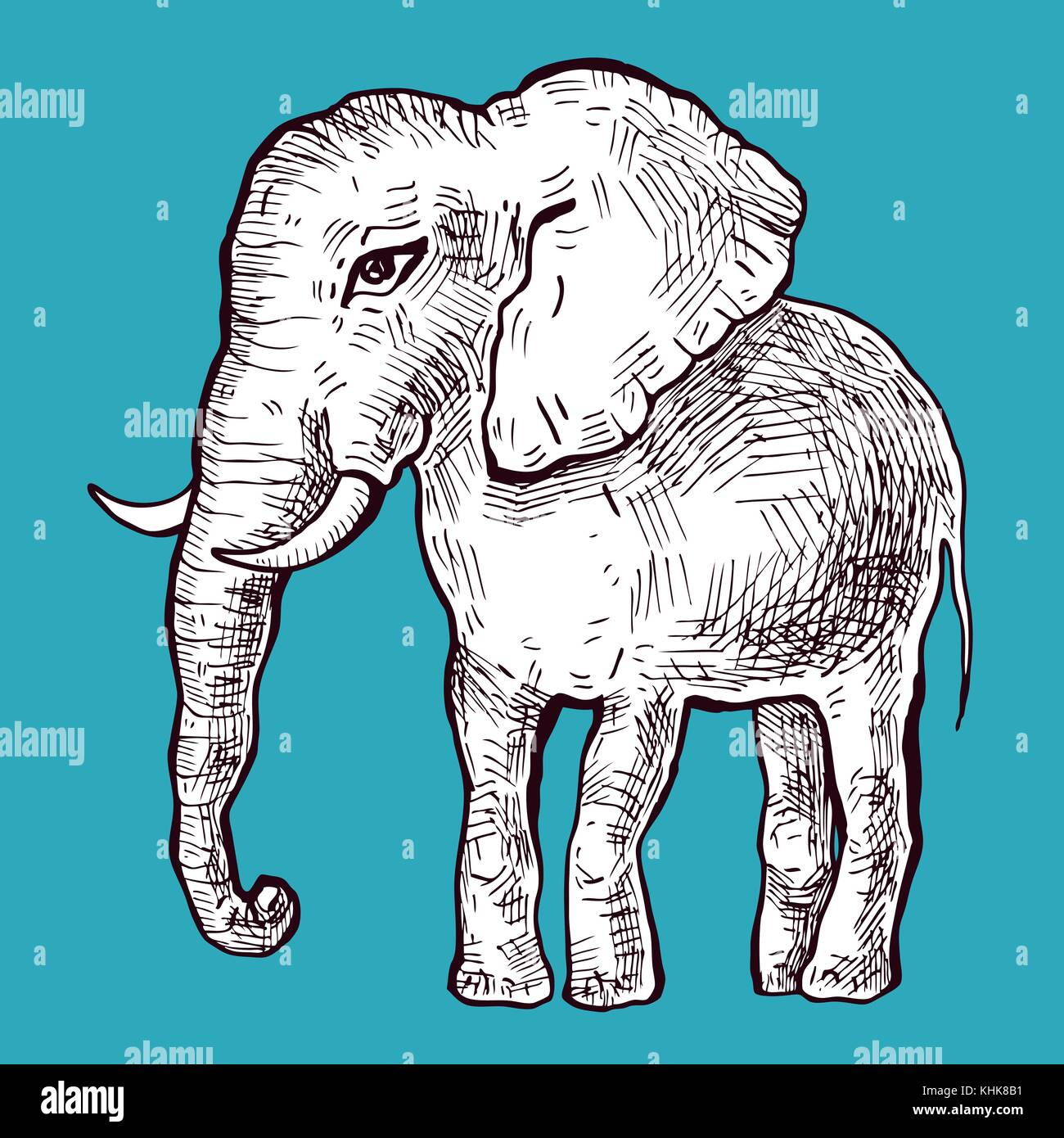 Elephant. Vector illustration Stock Vector Image & Art - Alamy