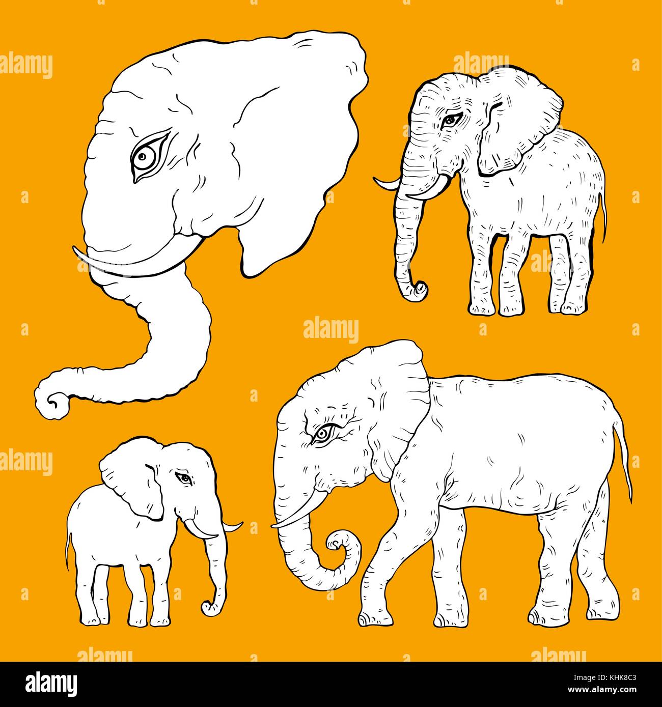 Elephant. Vector illustration Stock Vector Image & Art - Alamy