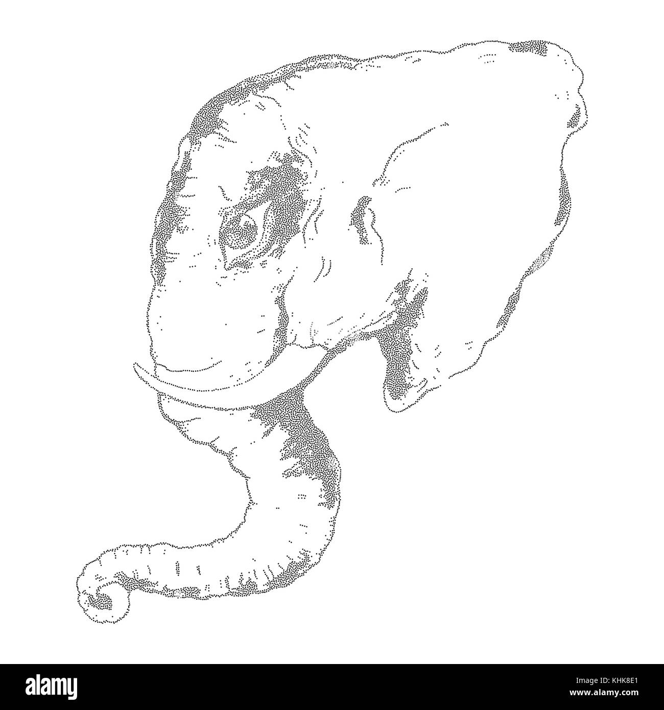 Elephant icon profile Black and White Stock Photos & Images - Alamy