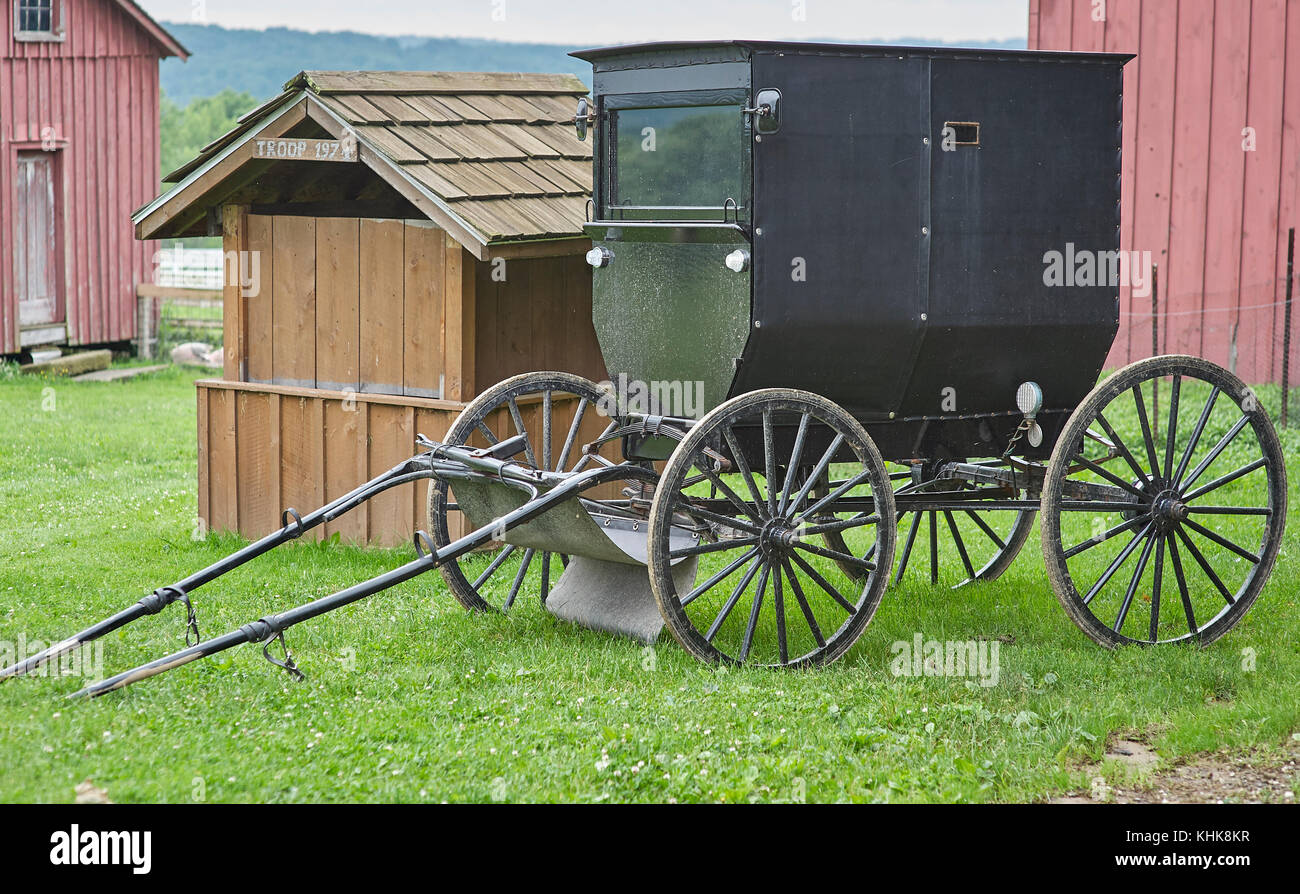 amish buggy parked in barnyard Stock Photo - Alamy