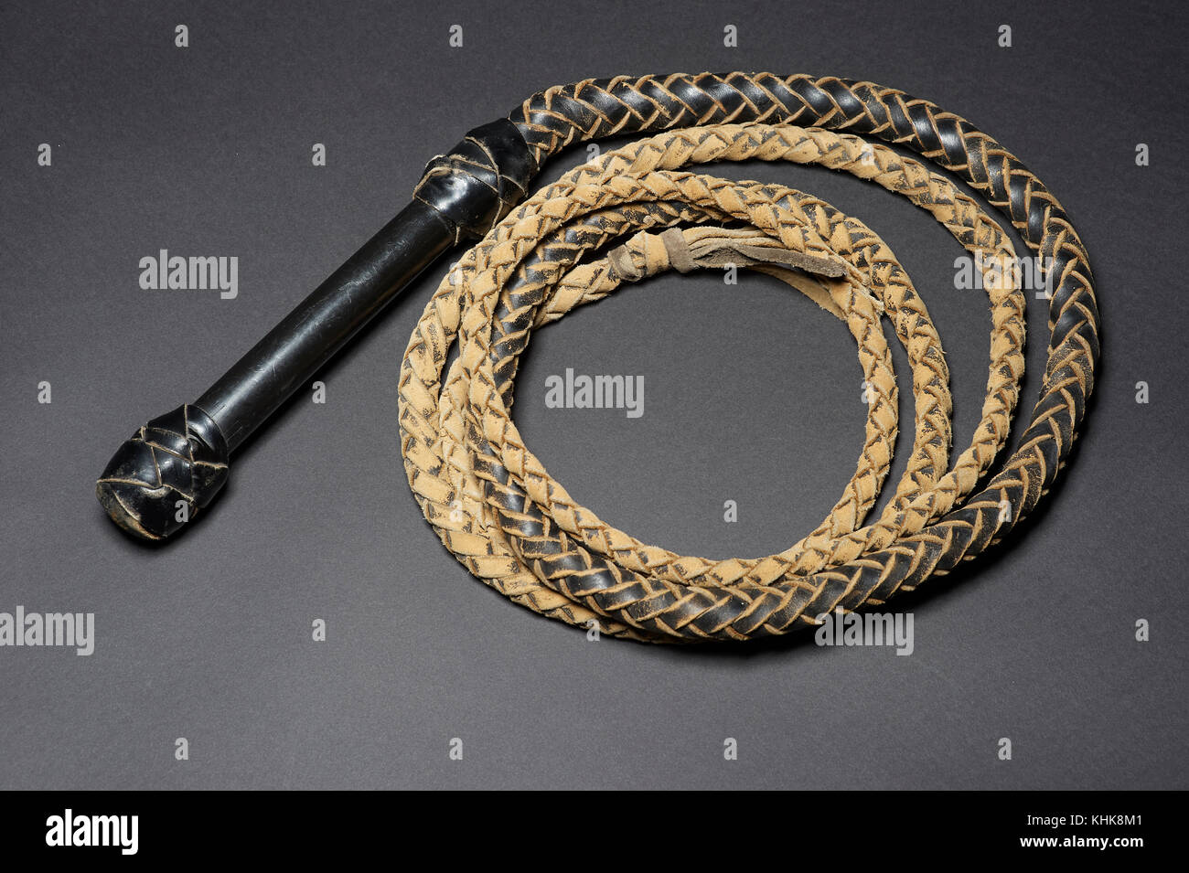 Coiled leather Bullwhip Stock Photo - Alamy