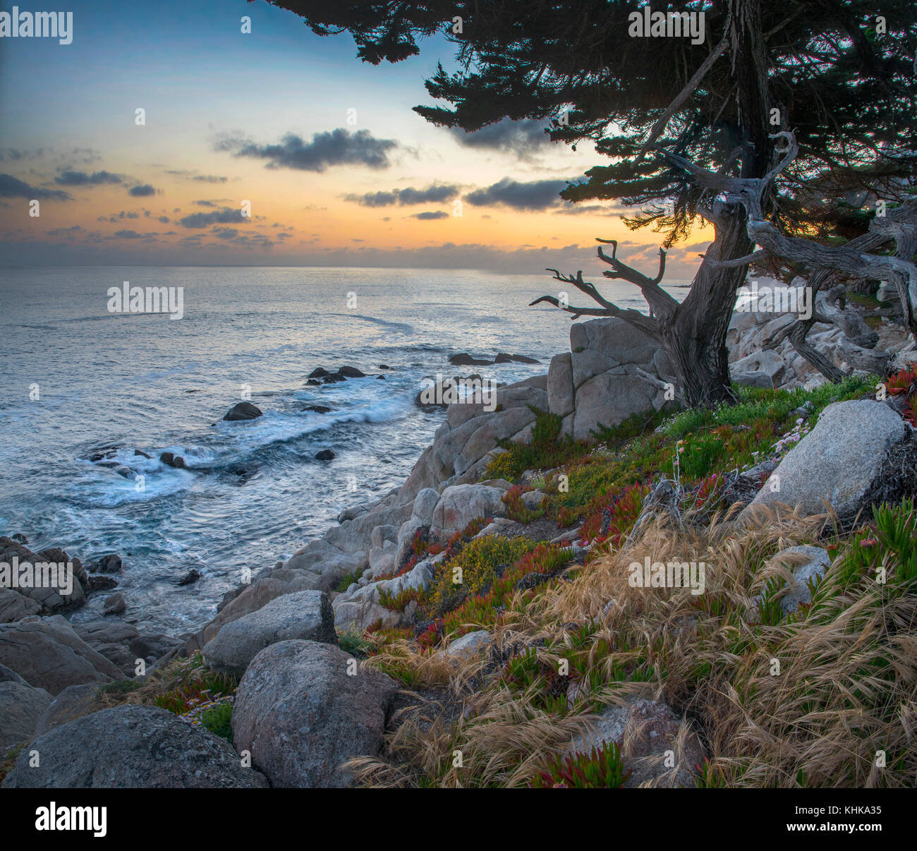 Coastline and the Pacific Ocean, Pescadero Point, Pebble Beach ...