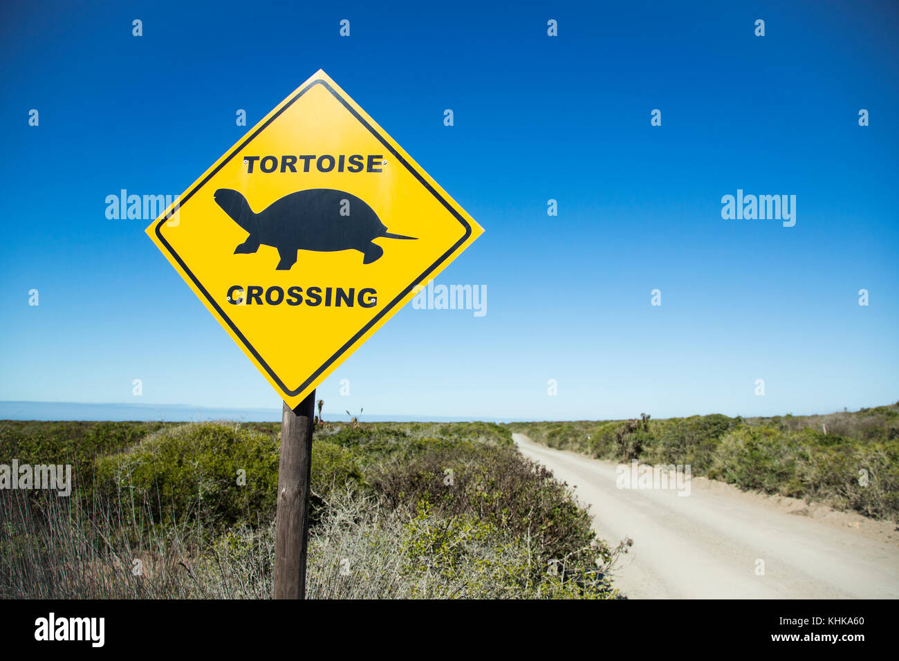 Tortoise crossing warning sign, Western Cape, South Africa Stock Photo ...