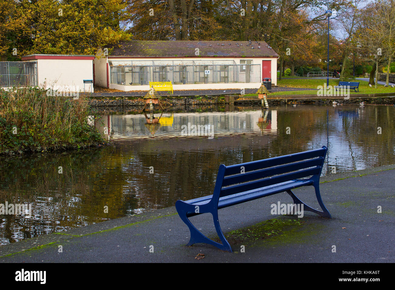 A brightly coloured bench seat beside the duck pond in Ward Park in ...