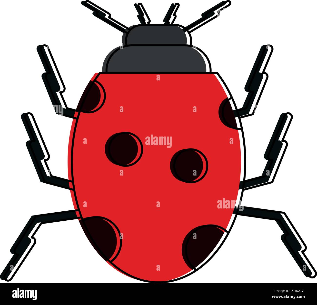 Ladybug animal colored cartoon hi-res stock photography and images - Alamy