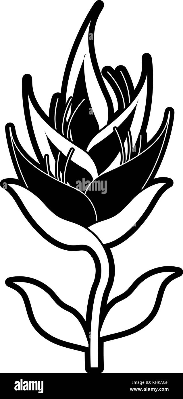 Beautiful flowers symbol Stock Vector Image & Art - Alamy