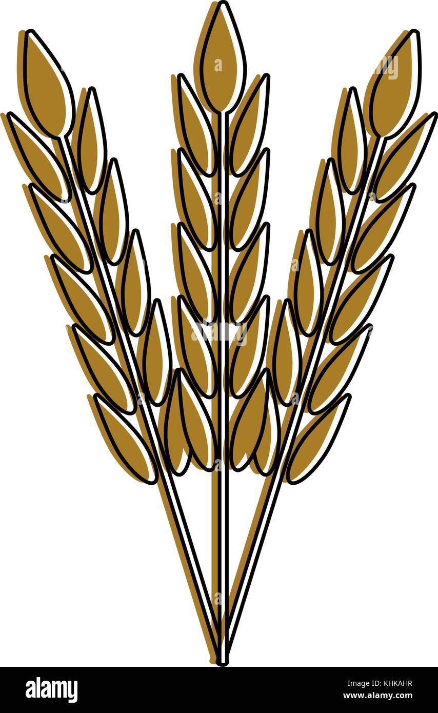 Wheat harvest food Stock Vector Image & Art - Alamy