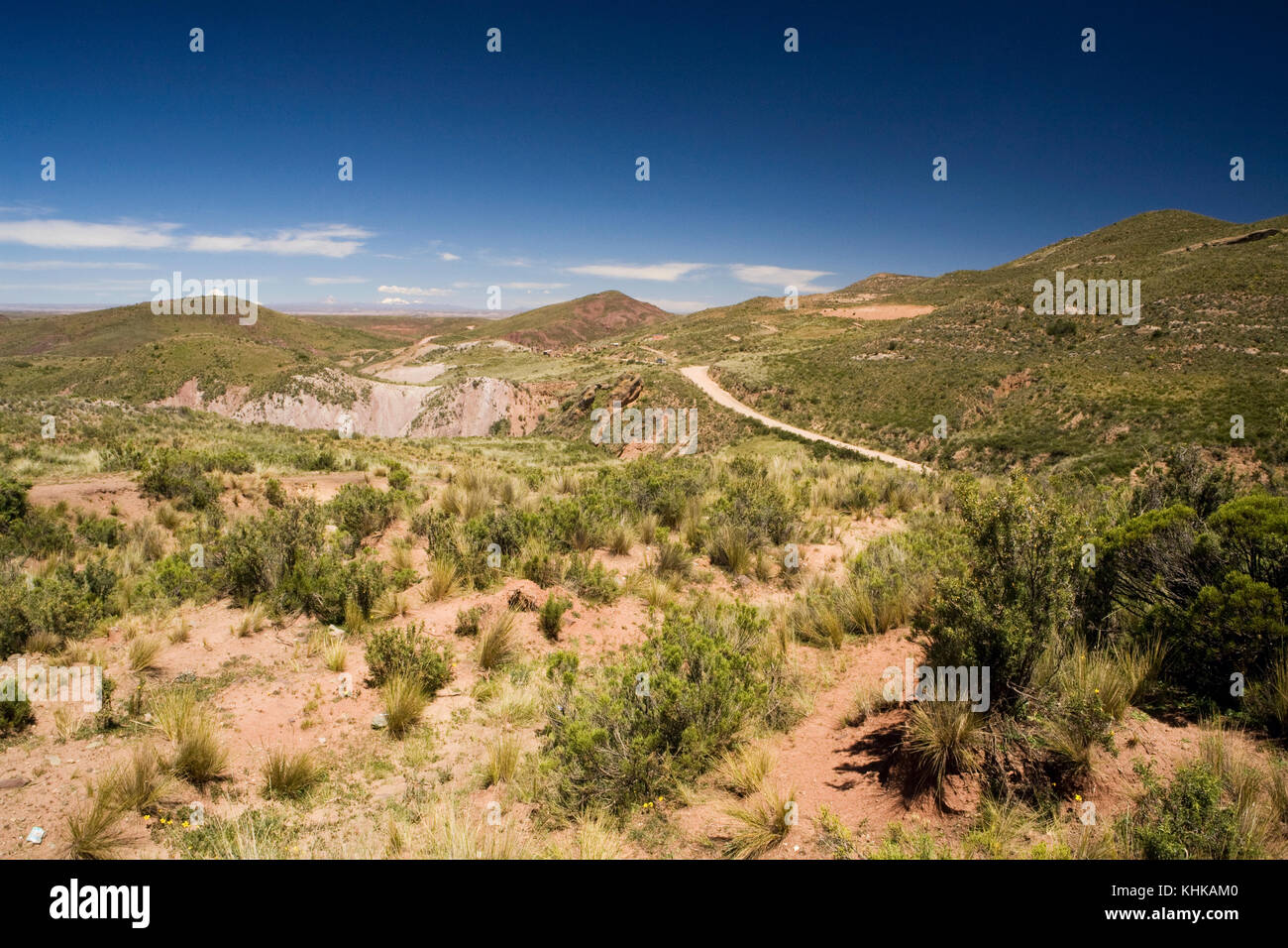 Dry puna, Andes, western Bolivia Stock Photo - Alamy