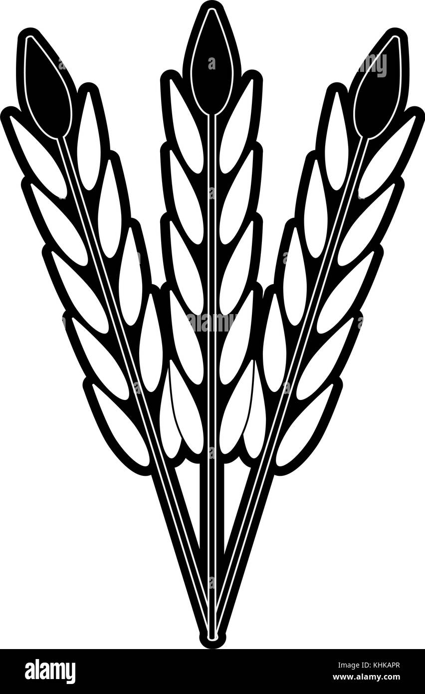 Wheat harvest food Stock Vector Image & Art - Alamy