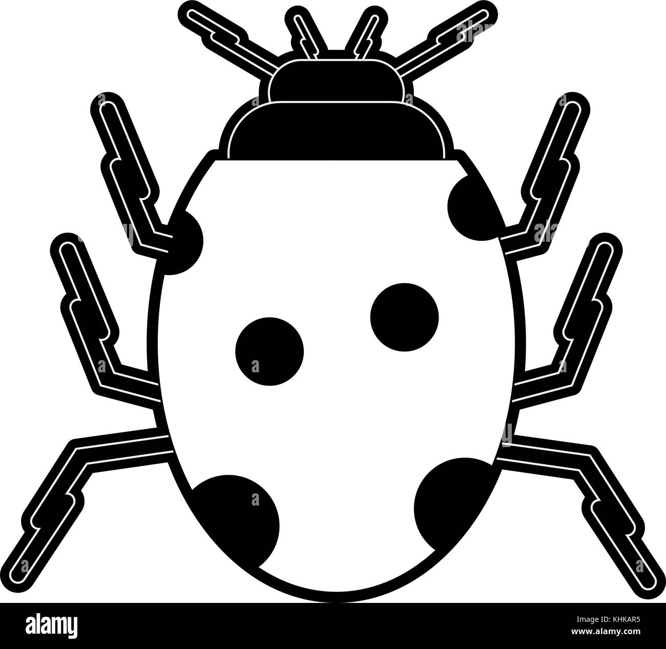 Animal insect moth small Black and White Stock Photos & Images - Alamy