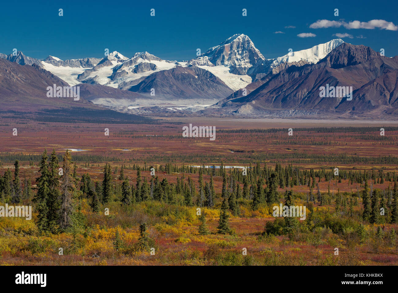 Mount Deborah above tundra in autumn, Alaska Stock Photo - Alamy