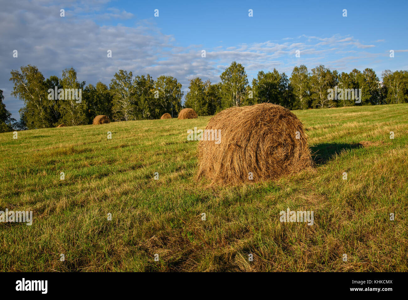 Beautiful rural landscape with haystacks and the cut grass on ...