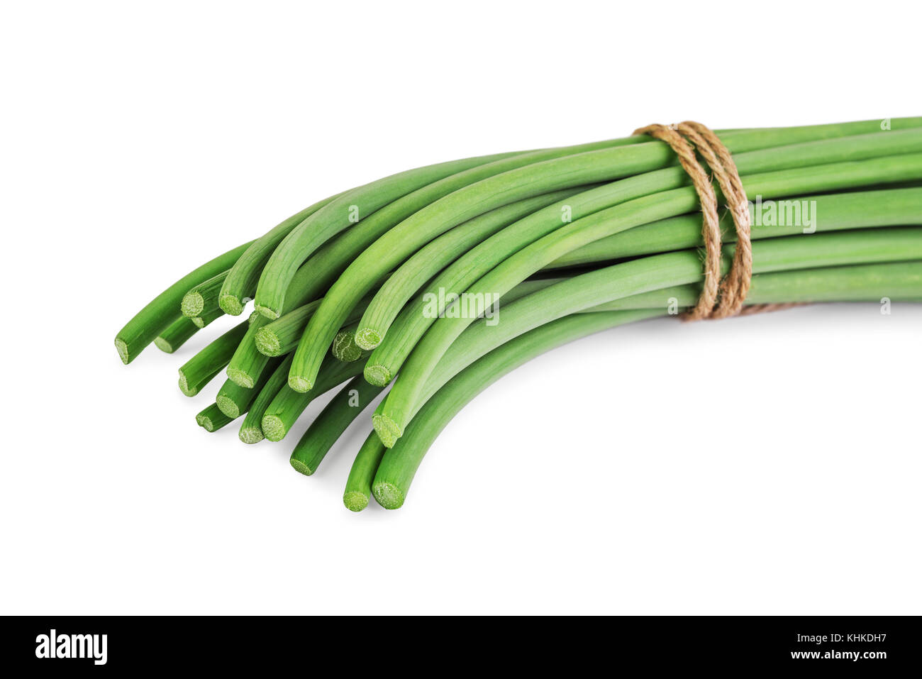 Bundle of fresh garlic shoots as food isolated on white background ...