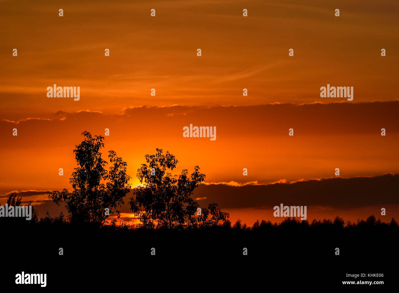 Beautiful red sunset with the sun behind the clouds, field, grass and ...
