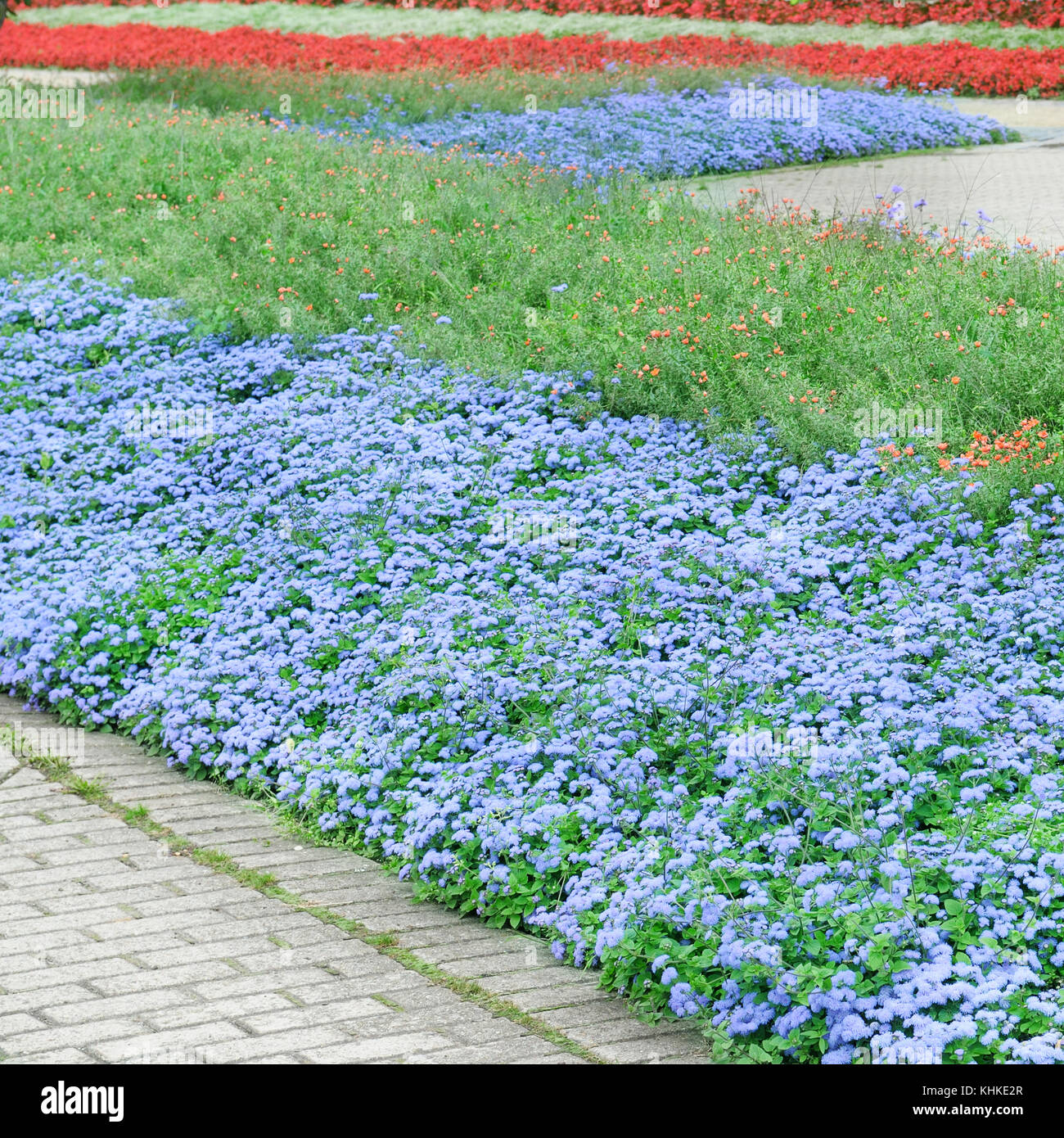 beautiful flower beds and walking paths Stock Photo - Alamy