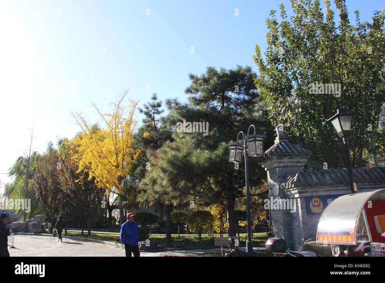 Aunny fall hi-res stock photography and images - Alamy