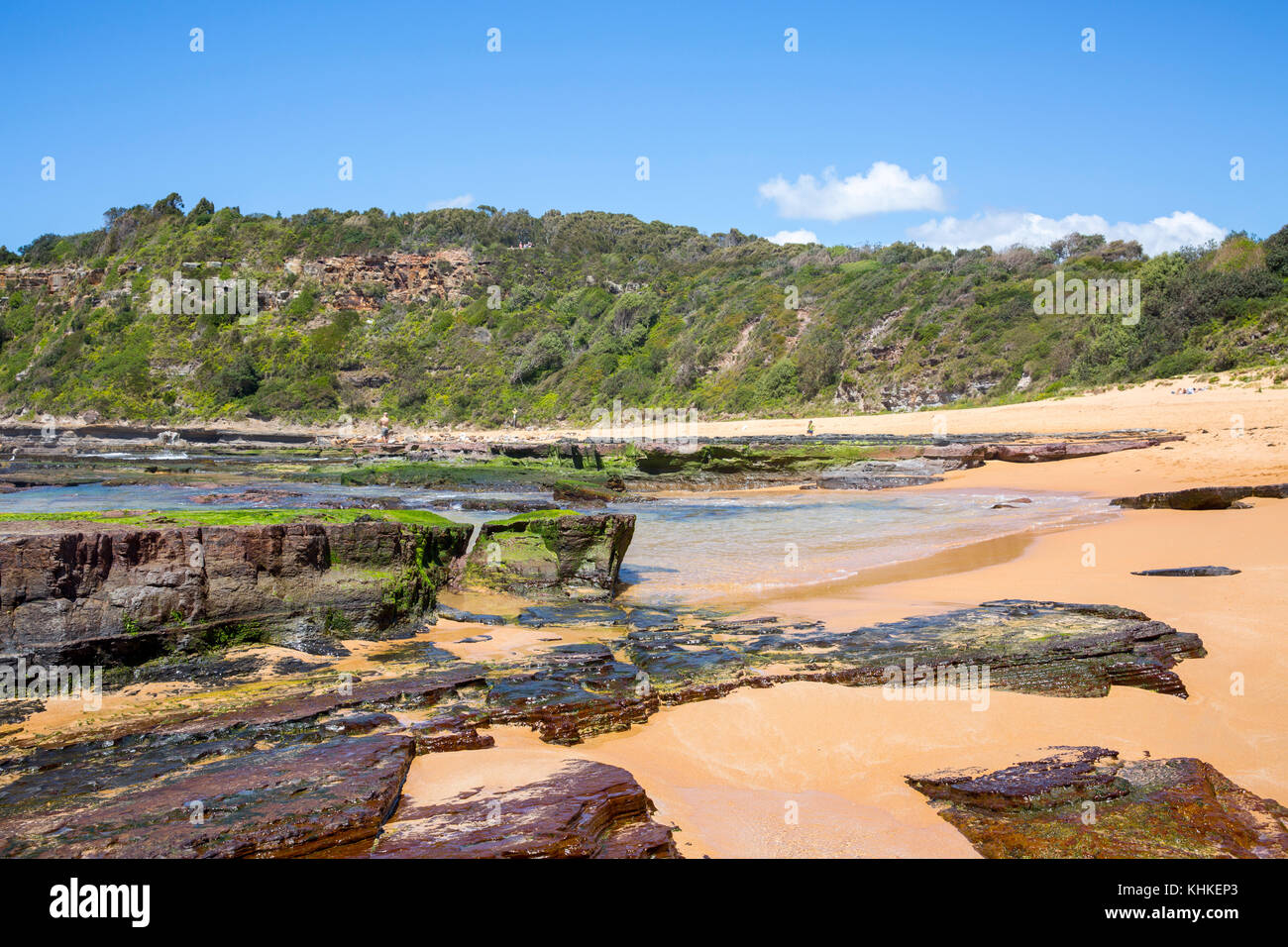 Coastline and beach at Turimetta beach on Sydney northern beaches,new ...