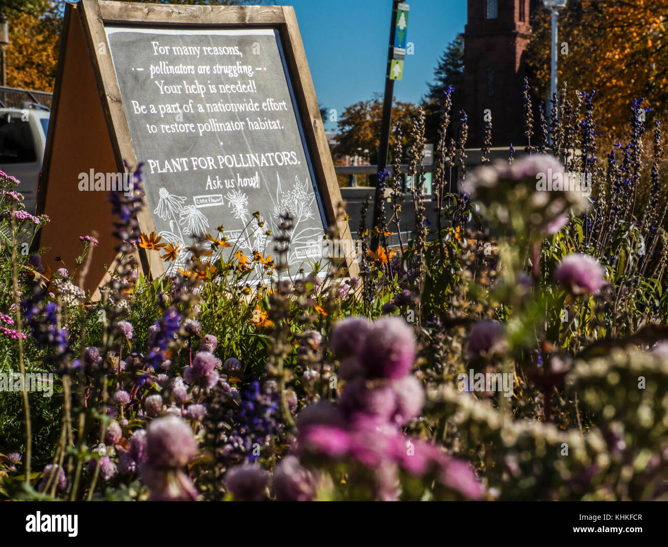 The U.S. Department of Agriculture (USDA) People's Garden pollinator ...