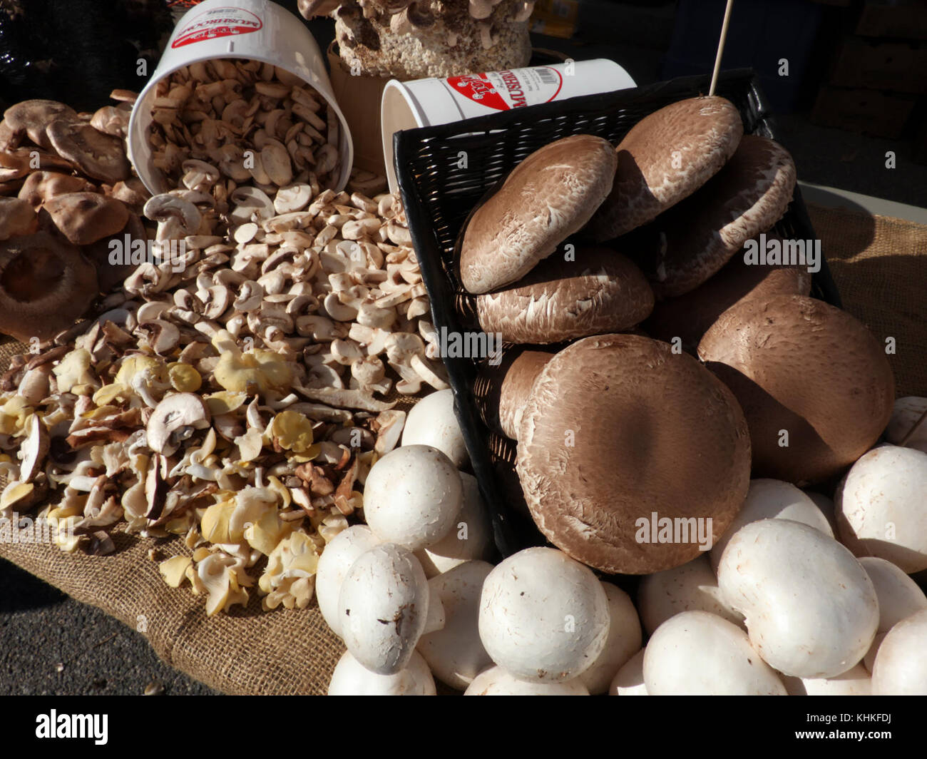 A variety of harvested and growing mushrooms on display at the U.S ...