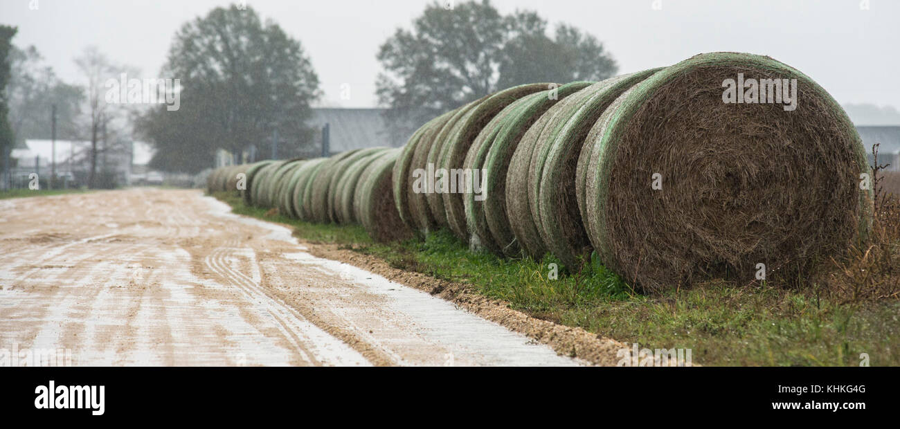 Hay mud rain reactor hi-res stock photography and images - Alamy