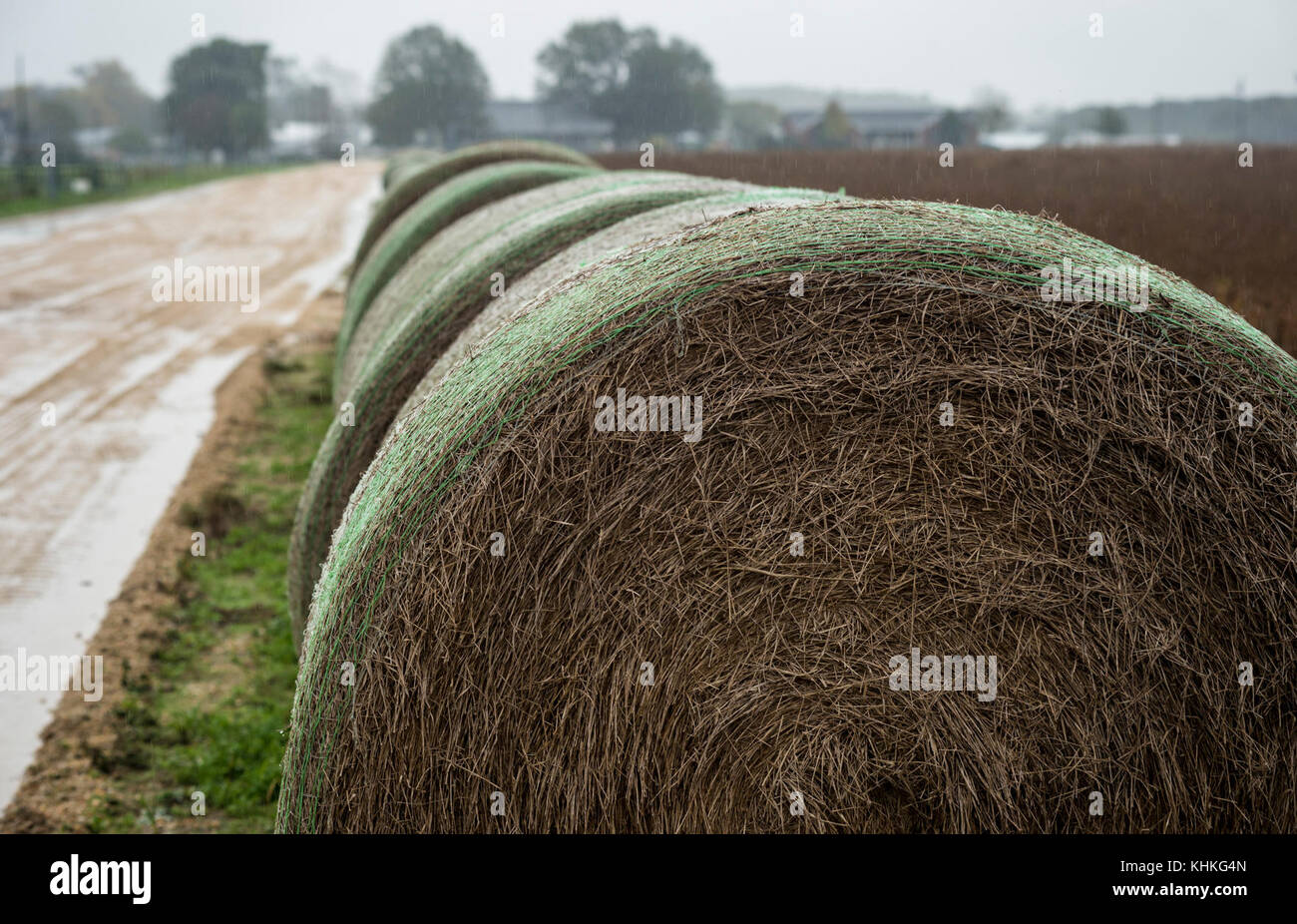 Hay mud rain reactor hi-res stock photography and images - Alamy