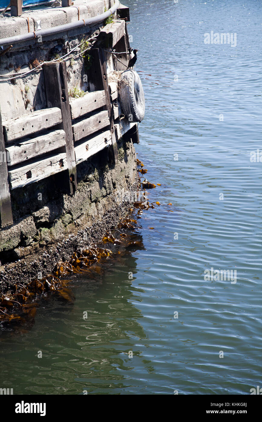 Victoria Basin Embankment at Waterfront Harbour in Cape Town - South ...