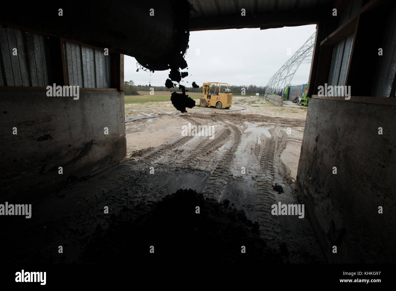 An auger delivers solids that have been separated from swine and turkey ...