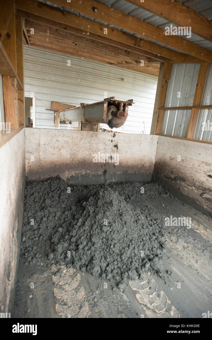 An auger delivers solids that have been separated from swine and turkey ...