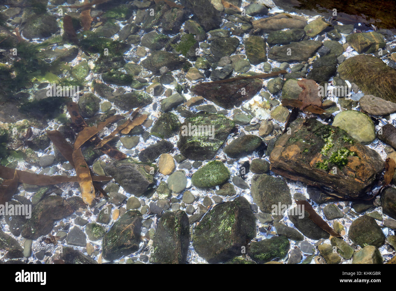 Nature rockpool hi-res stock photography and images - Alamy