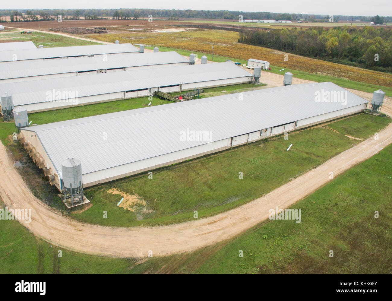 Hog finishing facilities, where pigs grow from 50 to 275 lbs. at Doug ...