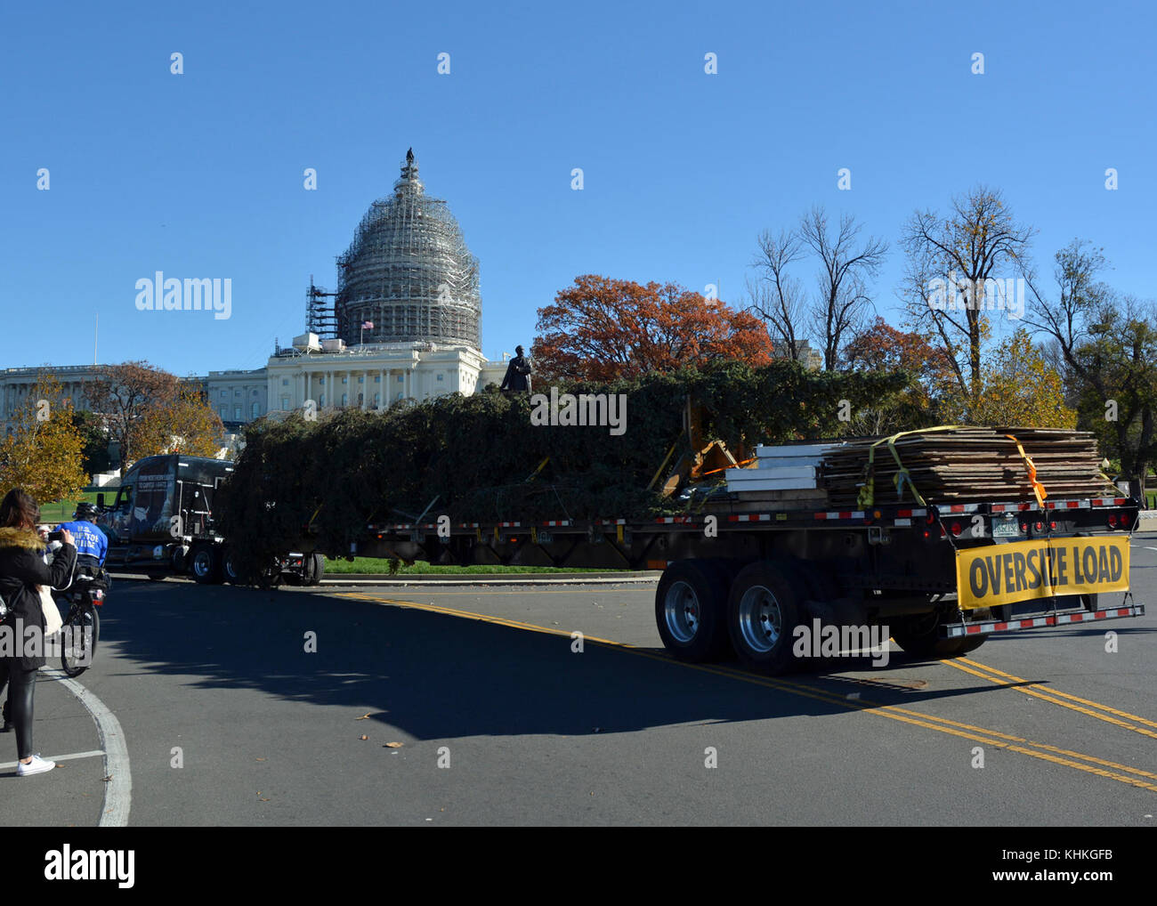The 2015 Capitol Christmas Tree arrived at the Capital building on ...